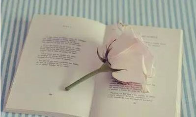 优秀文章 - vipbic